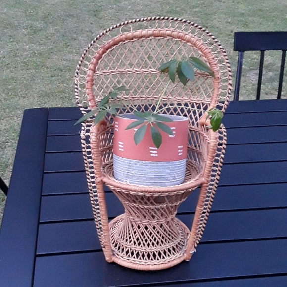 Accents | Hobo Wicker Peacock Chair Plant Stand Doll Chair | Poshmark